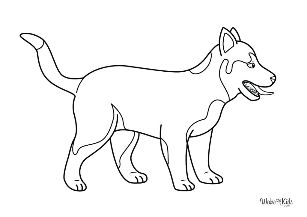 Husky Coloring Pages (Free Printable PDFs) | WakeTheKids