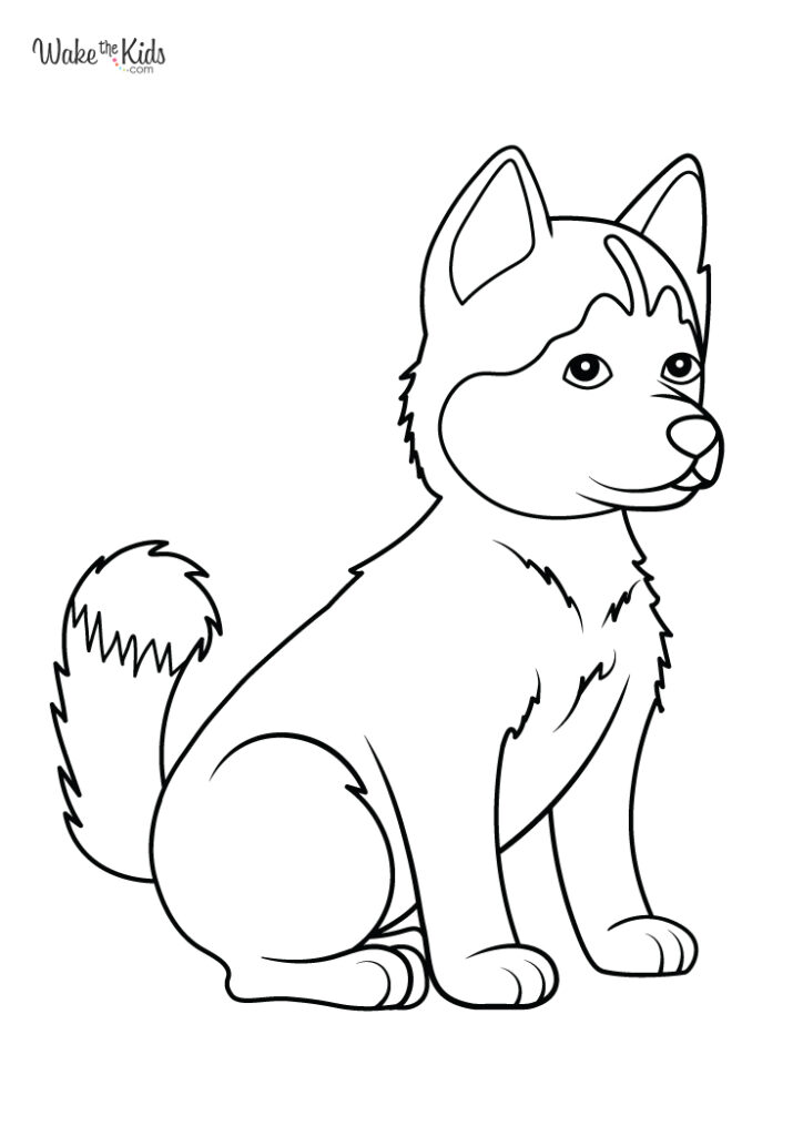 Husky Coloring Pages (Free Printable PDFs) | WakeTheKids