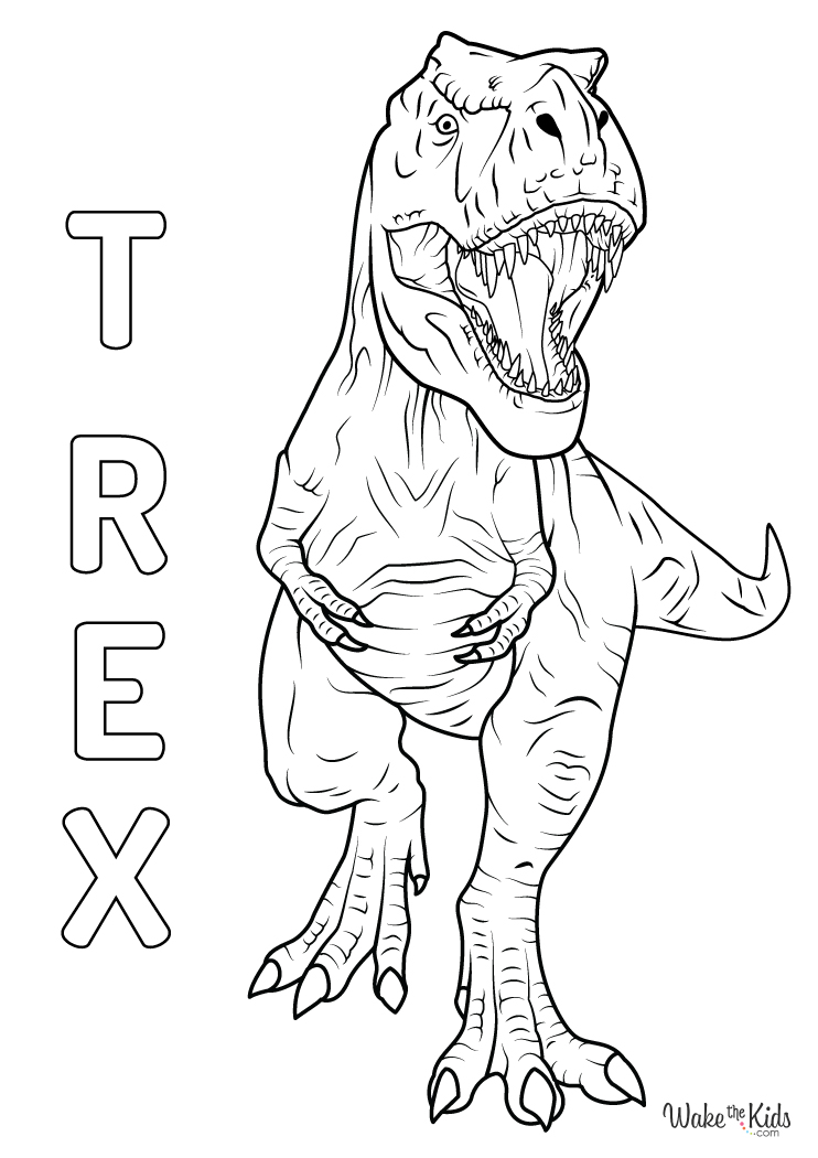T Rex Coloring Sheet Cool Coloring Pages Tyranosaurus Rex Coloring T Rex Coloring Sheet Cool Coloring Pages Tyranosaurus Rex Coloring