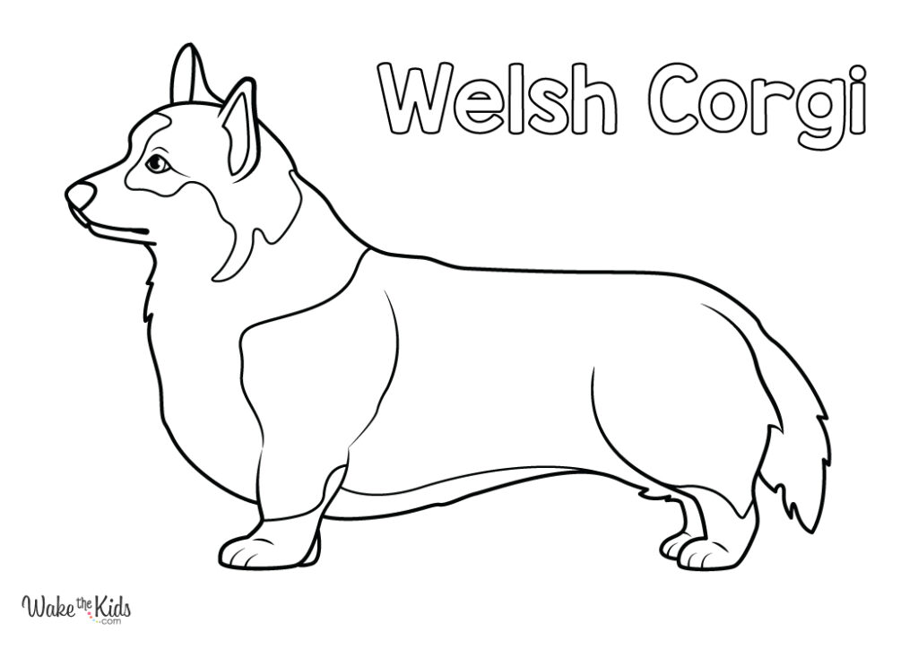 Corgi Coloring Pages (Free Printable PDFs) | WakeTheKids