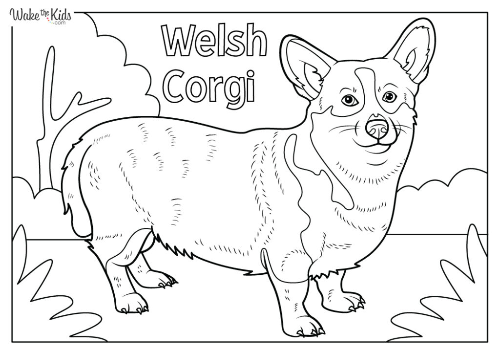 Corgi Coloring Pages (Free Printable PDFs) | WakeTheKids