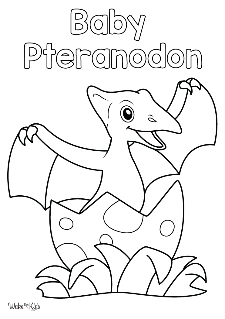 Pteranodon Coloring Pages (Free Printable PDFs) | WakeTheKids