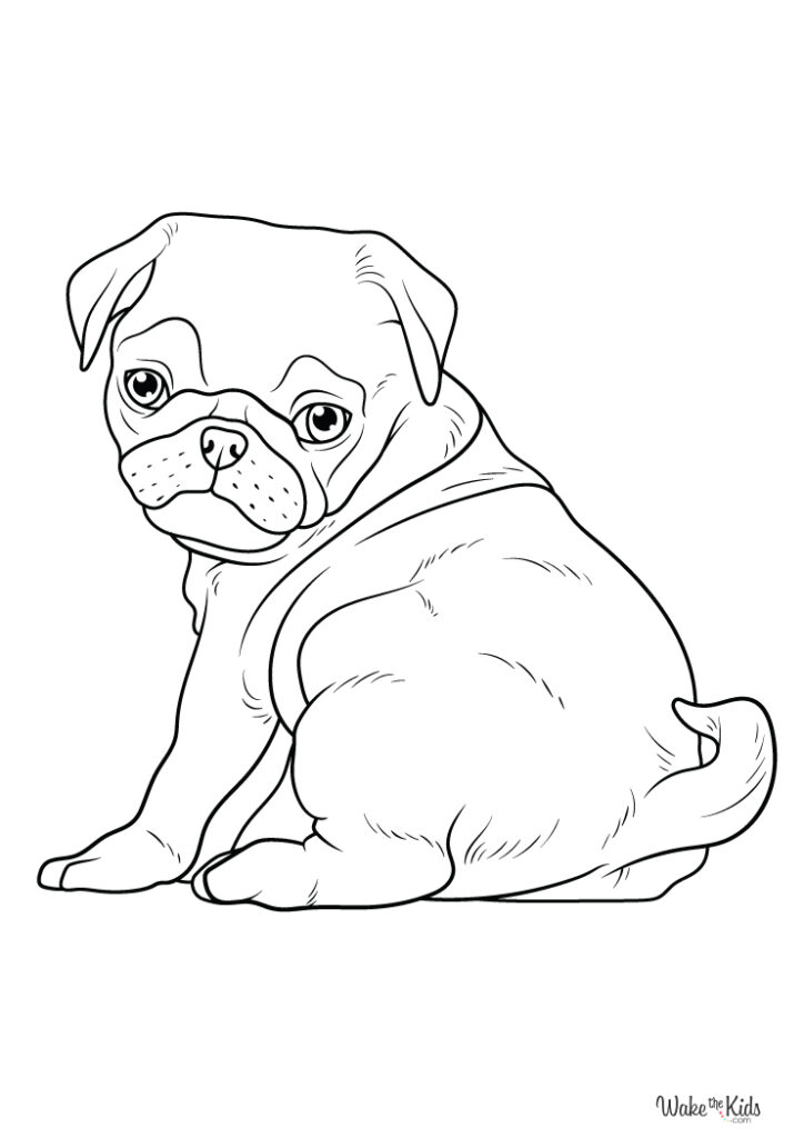 Pug Coloring Pages (Free Printable PDFs) | WakeTheKids