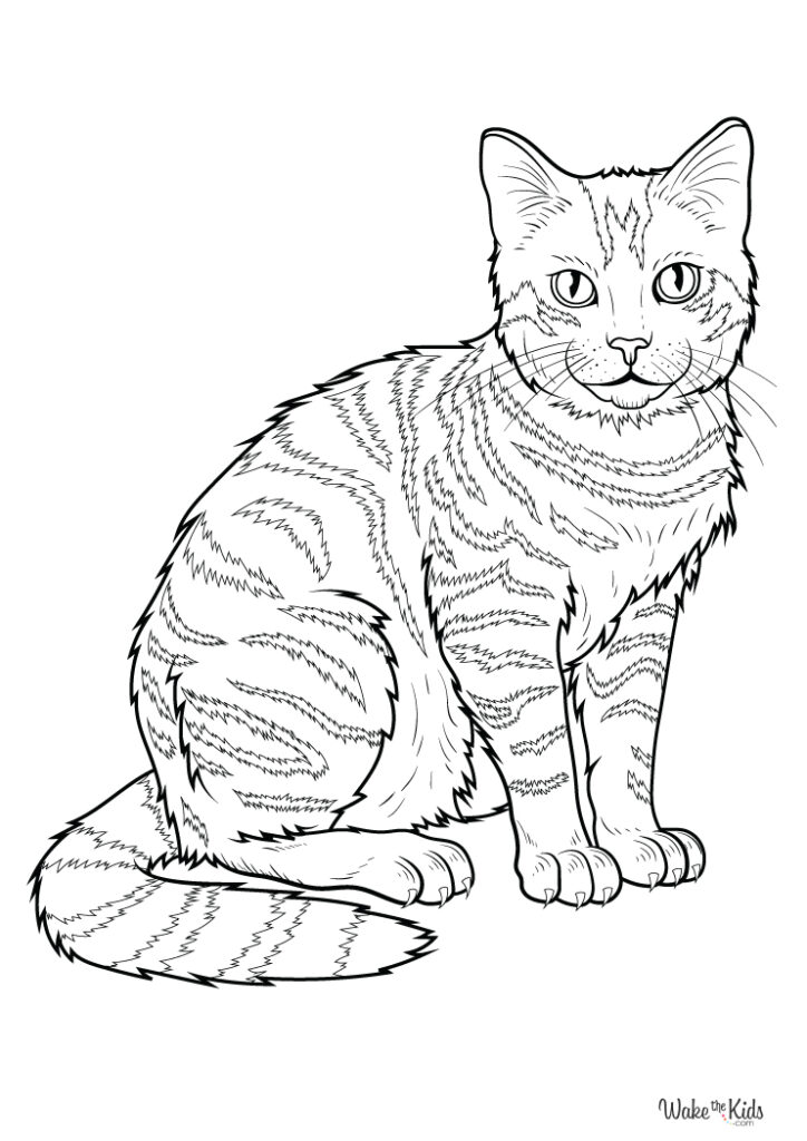 Tabby Cat Coloring Pages (Free Printable PDFs) | WakeTheKids
