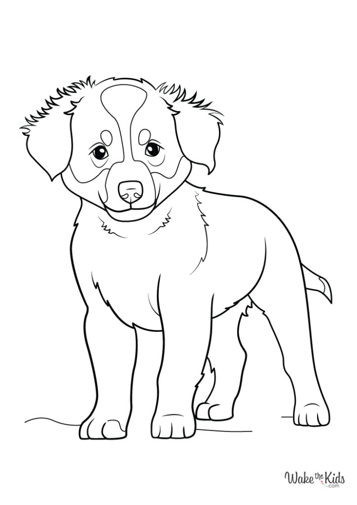 Australian Shepherd Coloring Pages (Free Printable PDFs) | WakeTheKids