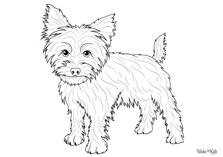 Yorkie Coloring Pages (Free Printable PDFs) | WakeTheKids