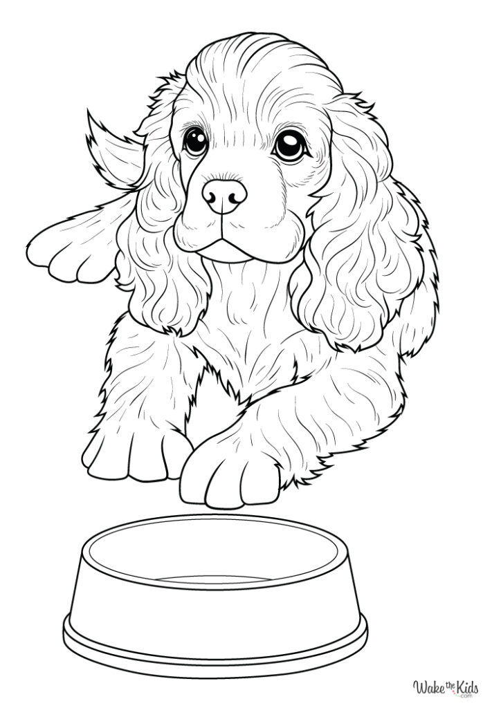 Cocker Spaniel Coloring Pages (Free Printable PDFs) | WakeTheKids