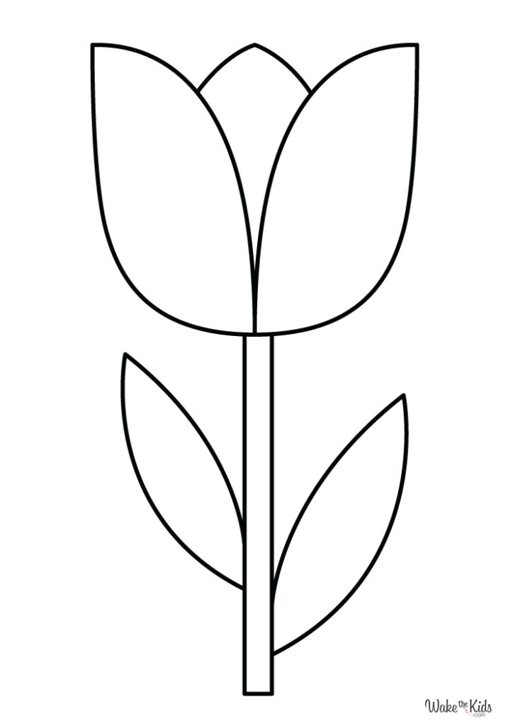 Tulip Coloring Pages (Free Printable PDFs) | WakeTheKids