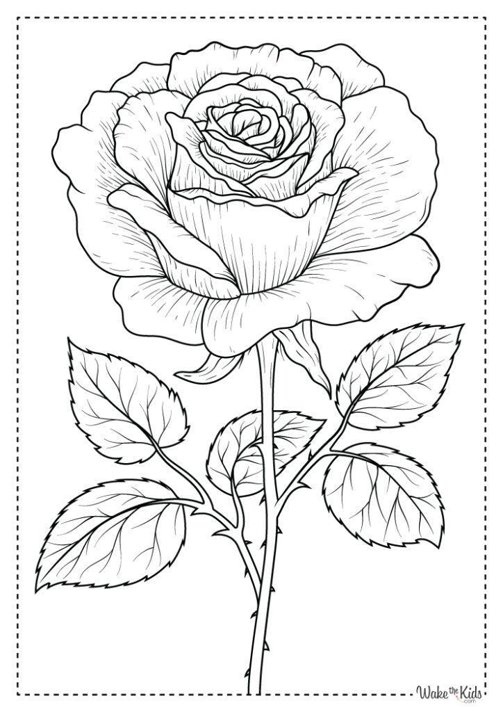 Rose Coloring Pages (Free Printable PDFs) | WakeTheKids