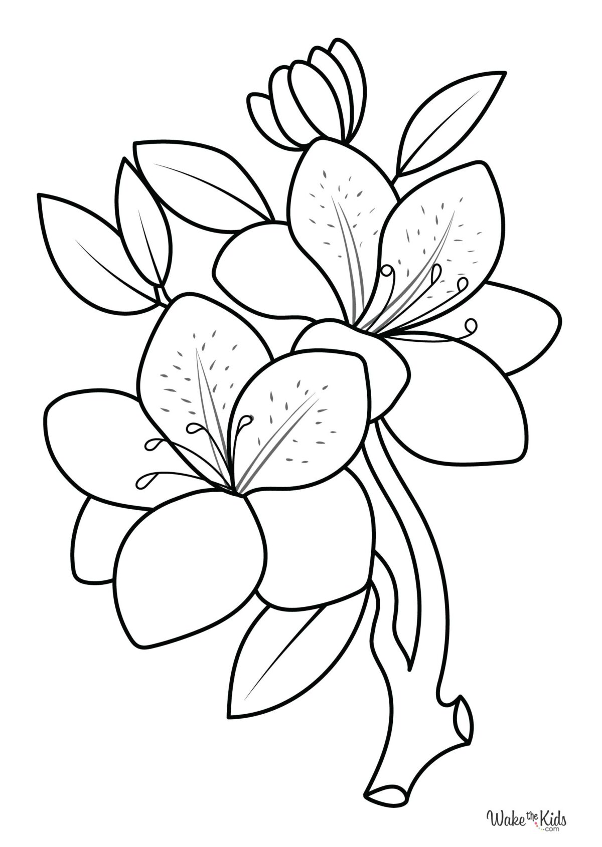 Azalea Coloring Pages (Free Printable PDFs) | WakeTheKids