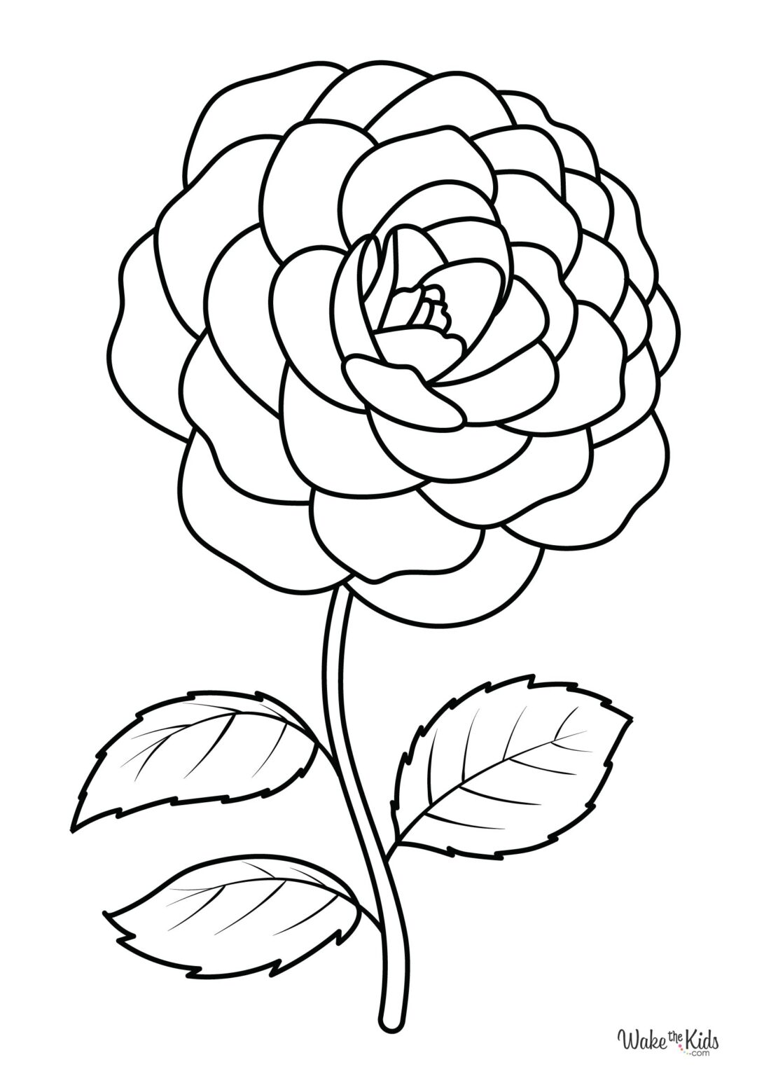 Camellia Coloring Pages (Free Printable PDFs) | WakeTheKids