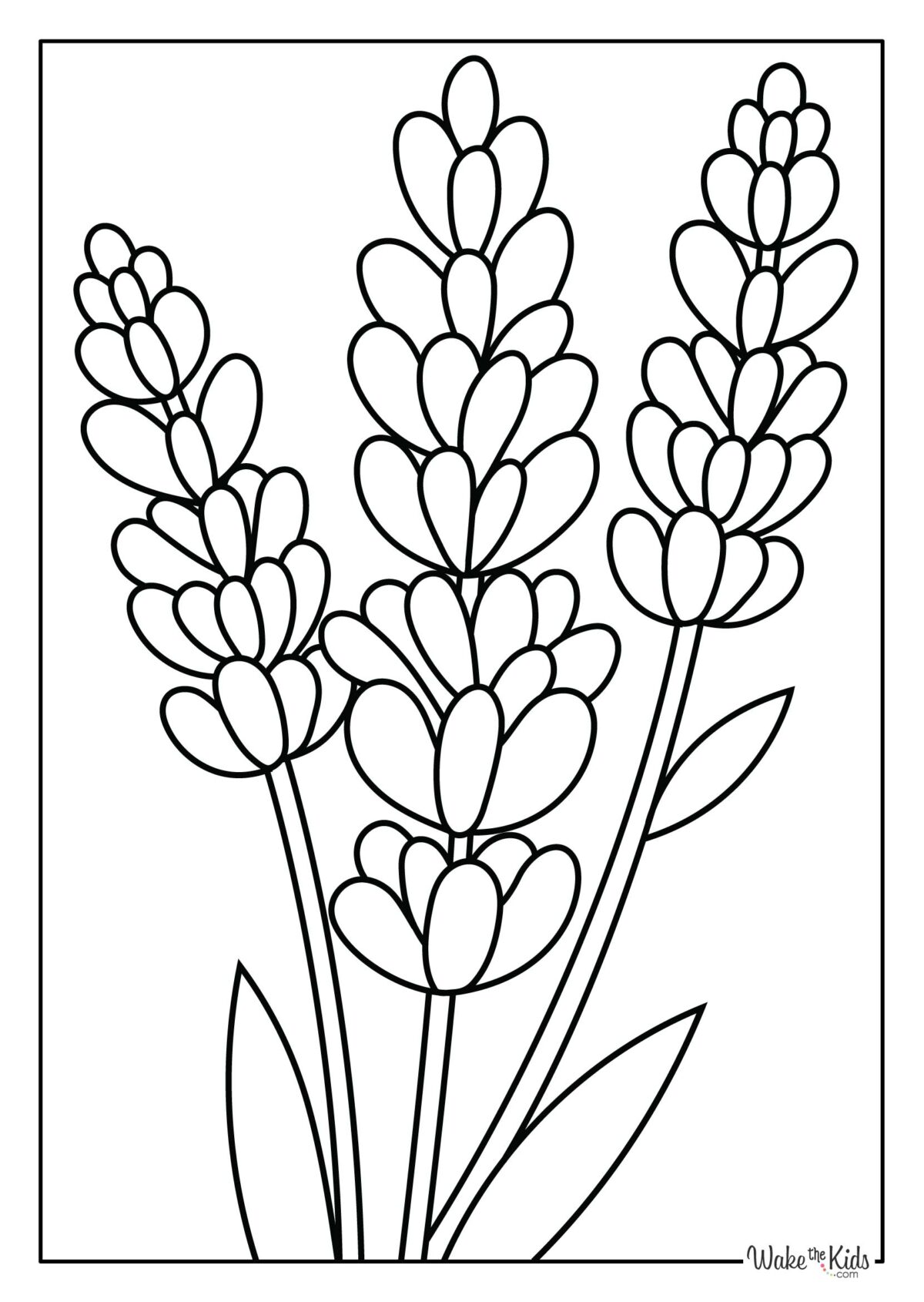 Lavender Coloring Pages (Free Printable PDFs) | WakeTheKids