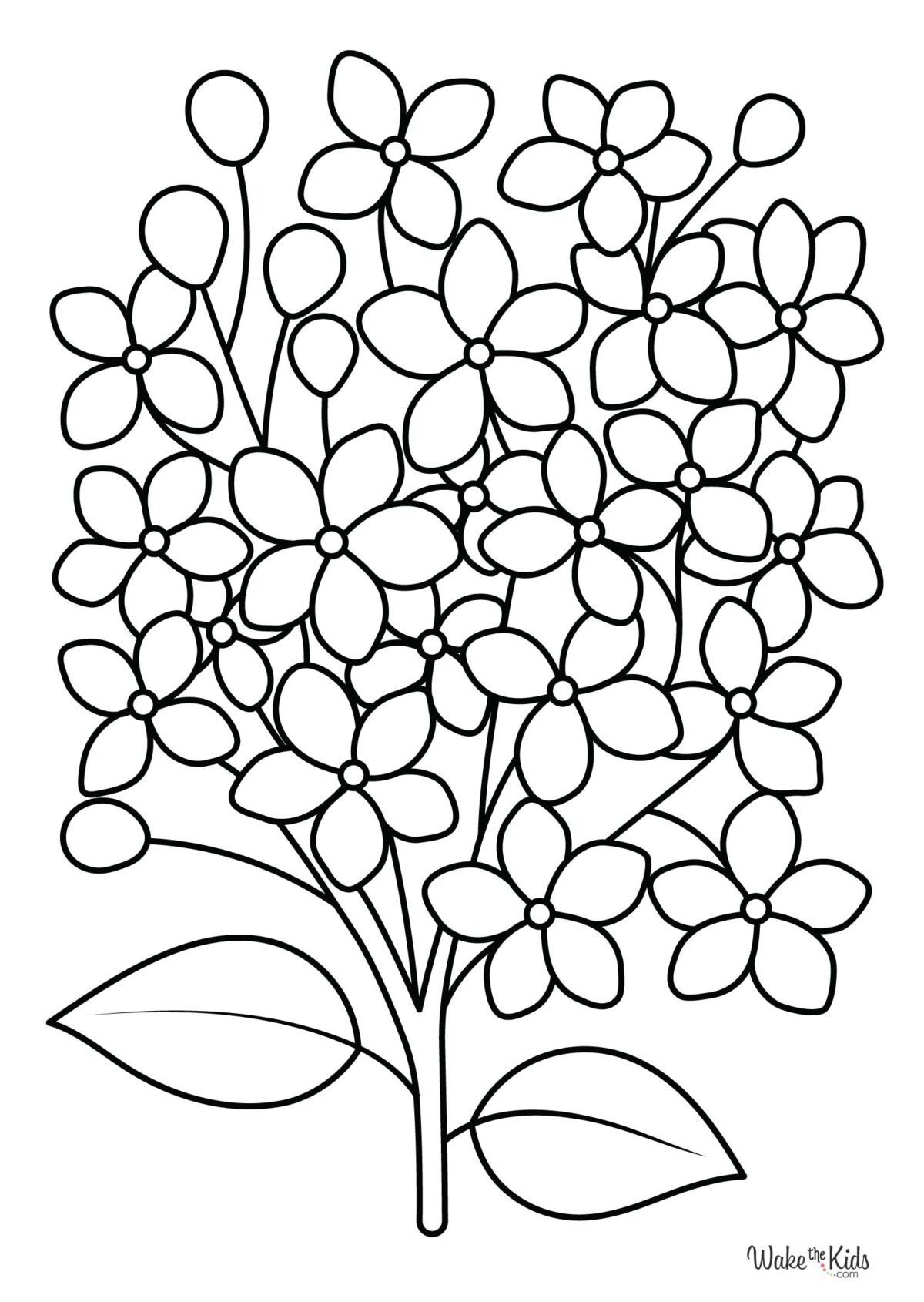 Lilac Coloring Pages (Free Printable PDFs) | WakeTheKids