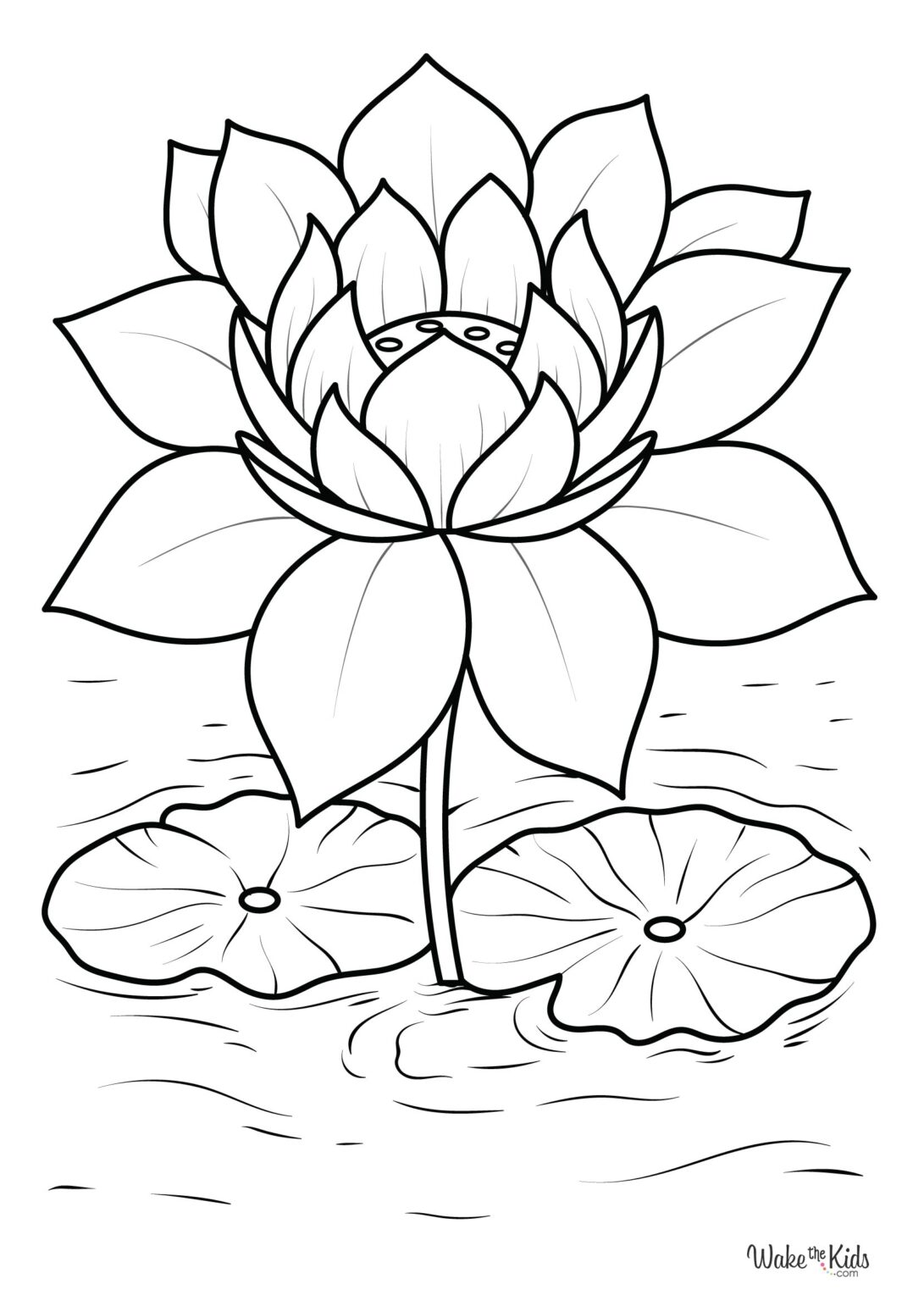 Lotus Coloring Pages (Free Printable PDFs) | WakeTheKids