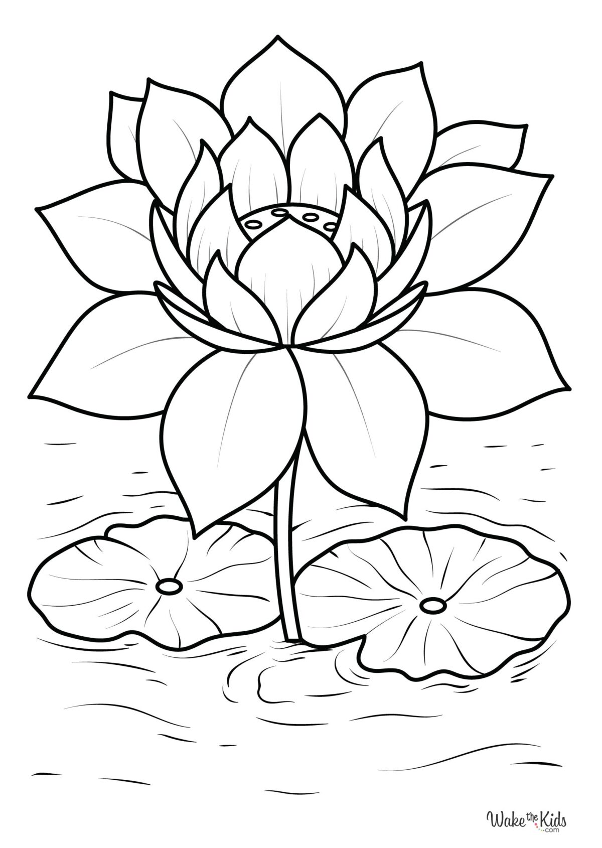 Lotus Coloring Pages (Free Printable PDFs) | WakeTheKids