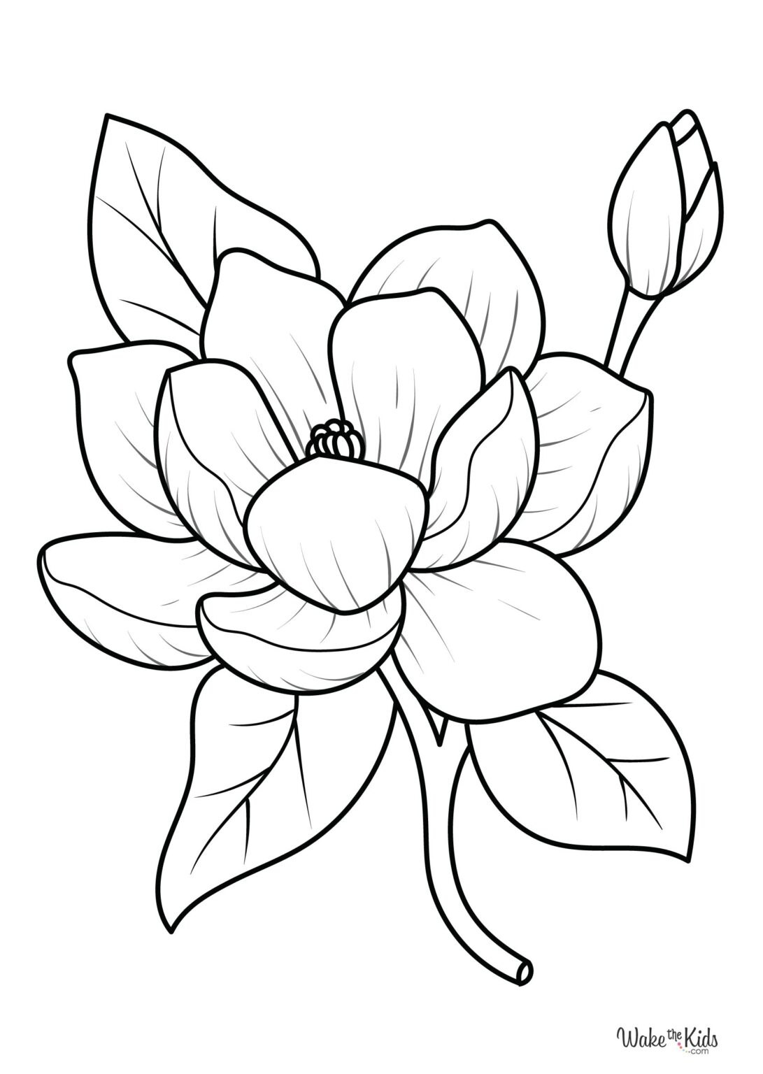 Magnolia Coloring Pages (Free Printable PDFs) | WakeTheKids