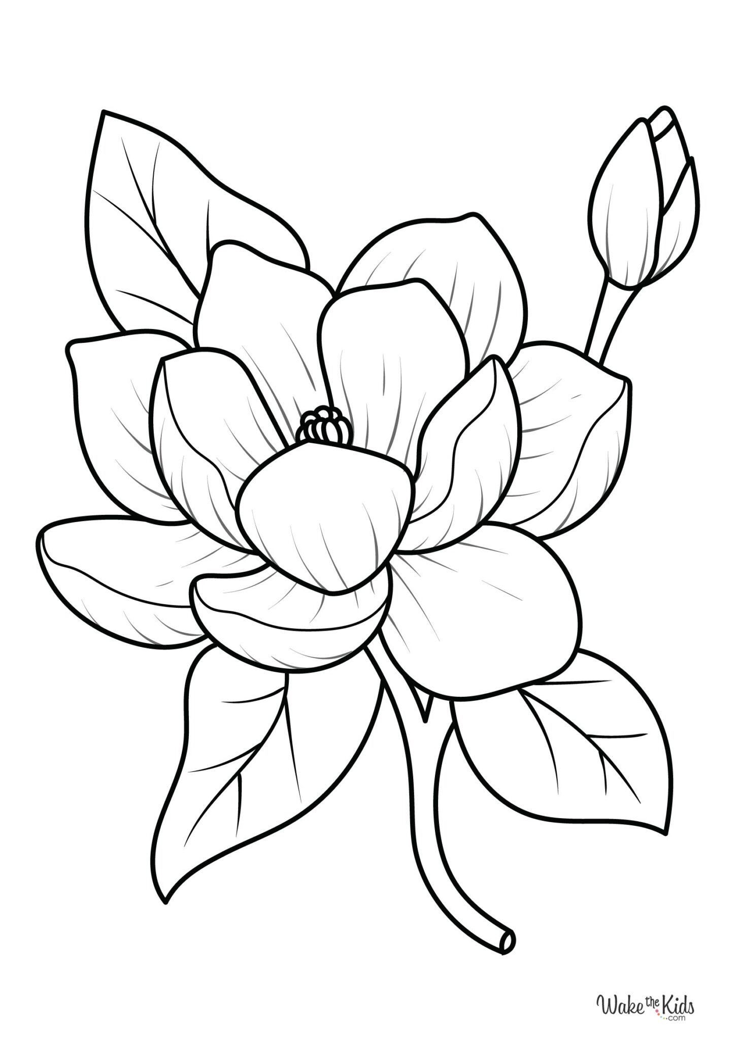 Magnolia Coloring Pages (Free Printable PDFs) | WakeTheKids