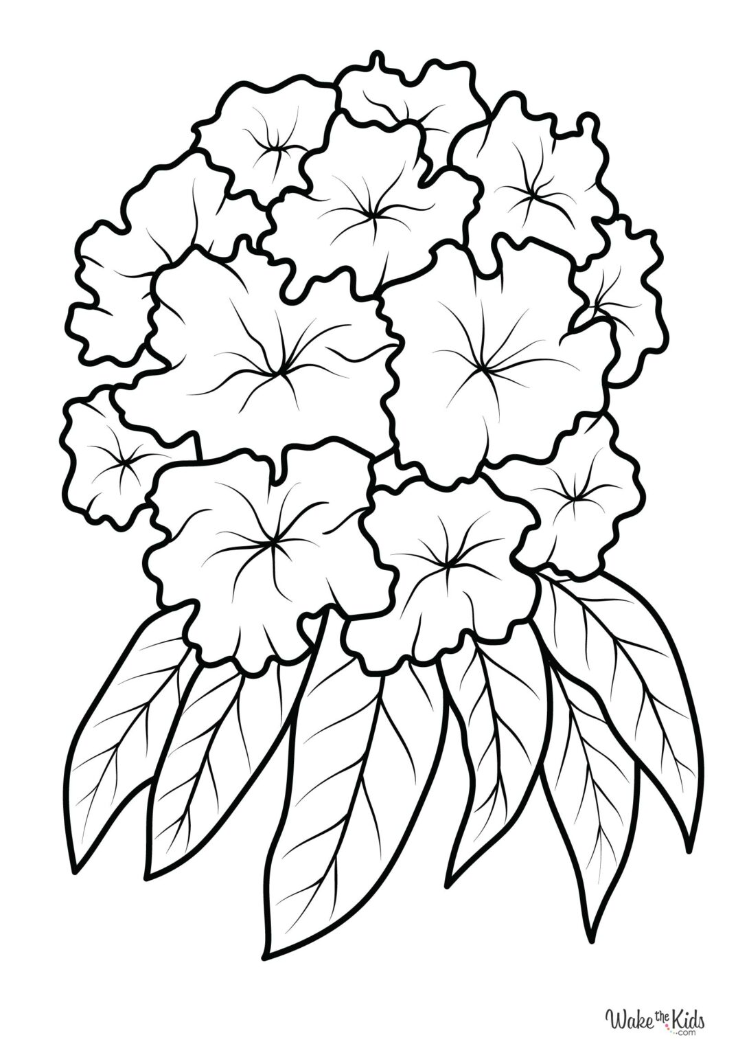 Rhododendron Coloring Pages (Free Printable PDFs) | WakeTheKids