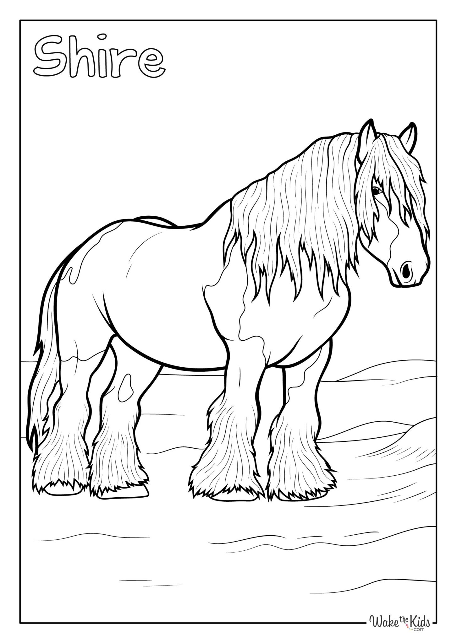 Shire Horse Coloring Pages (Free Printable PDFs) | WakeTheKids