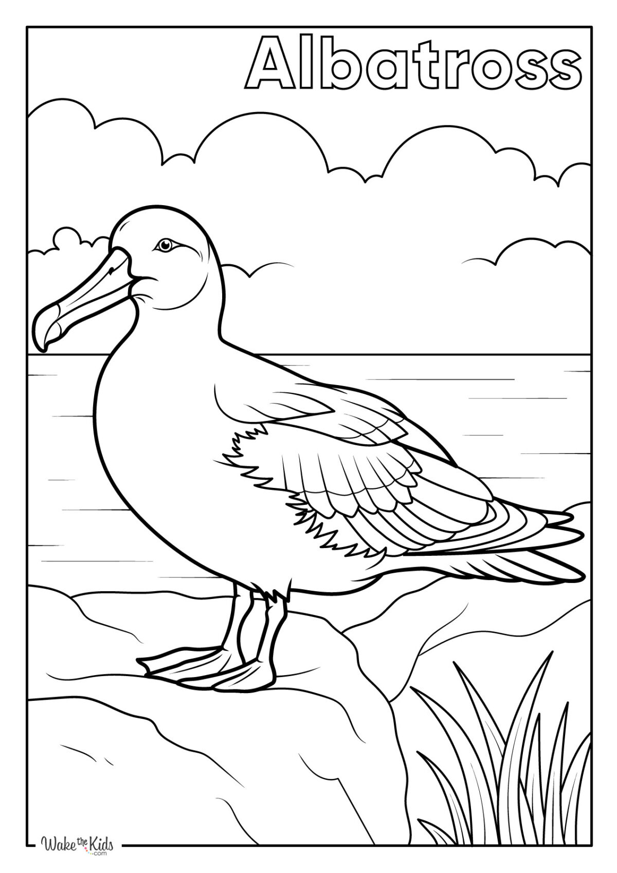 Albatross Coloring Pages (Free Printable PDFs) | WakeTheKids