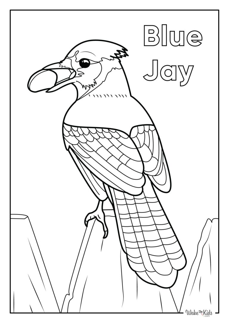 Blue Jay Coloring Pages (Free Printable PDFs) | WakeTheKids