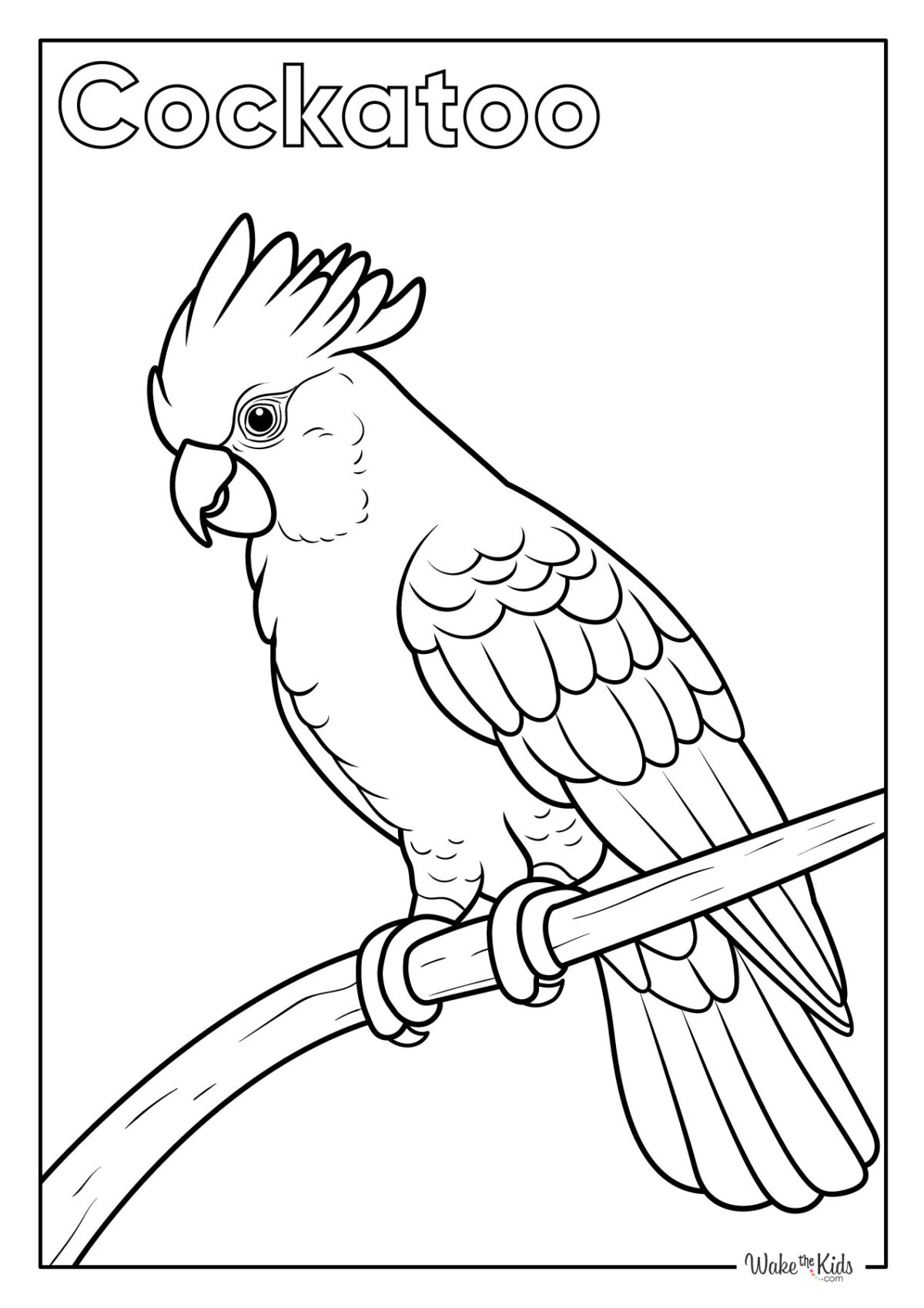 Cockatoo Coloring Pages (Free Printable PDFs) | WakeTheKids