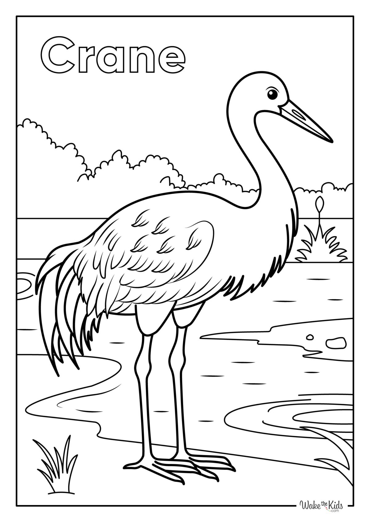 Crane Bird Coloring Pages (Free Printable PDFs) | WakeTheKids