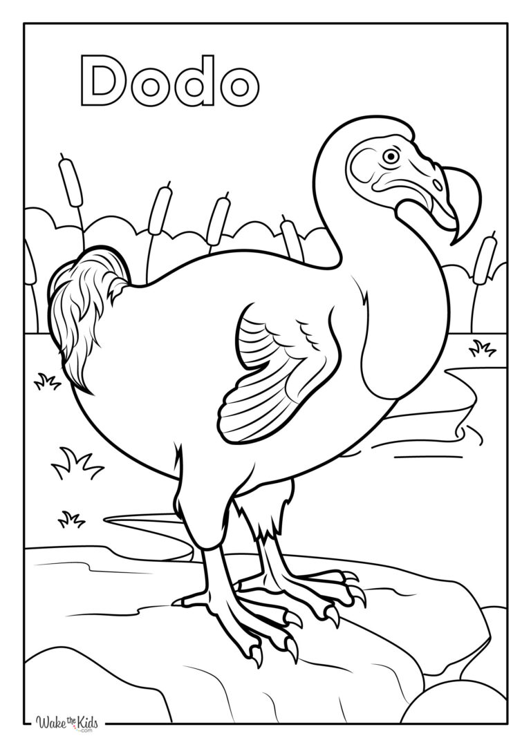 Dodo Coloring Pages (Free Printable PDFs) | WakeTheKids