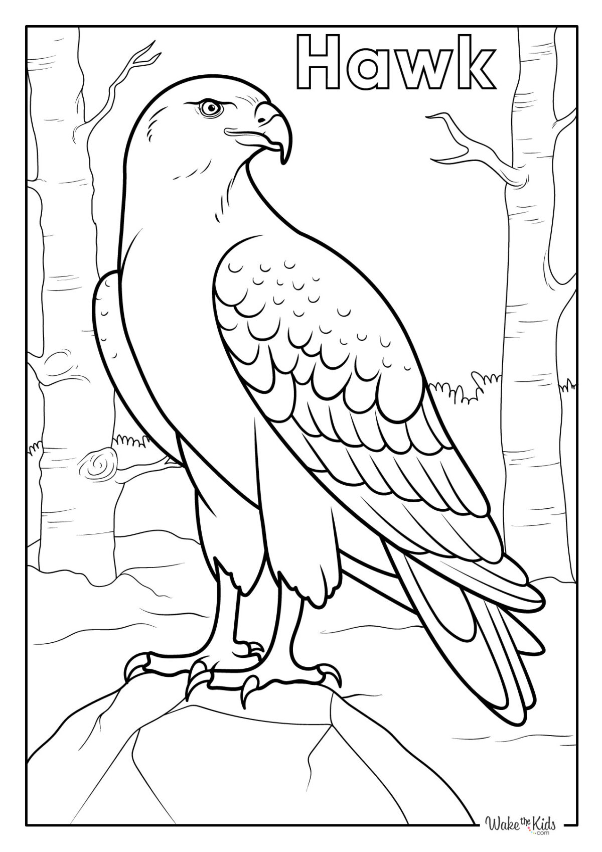 Hawk Coloring Pages (Free Printable PDFs) | WakeTheKids