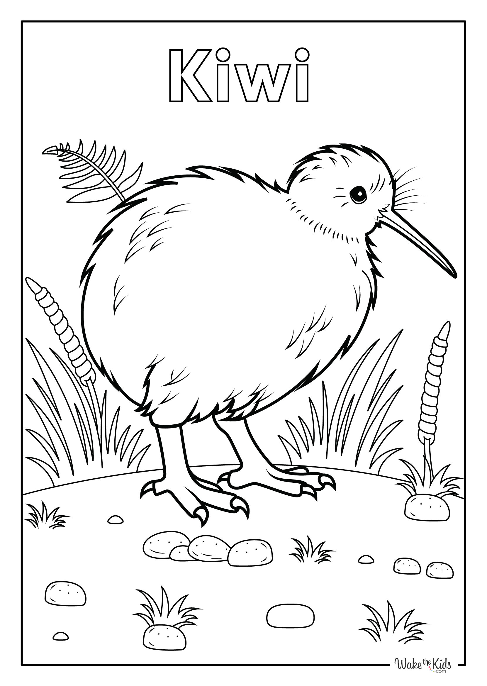 Kiwi Coloring Pages Fruit Fruits Kids Printable Template Getcolorings