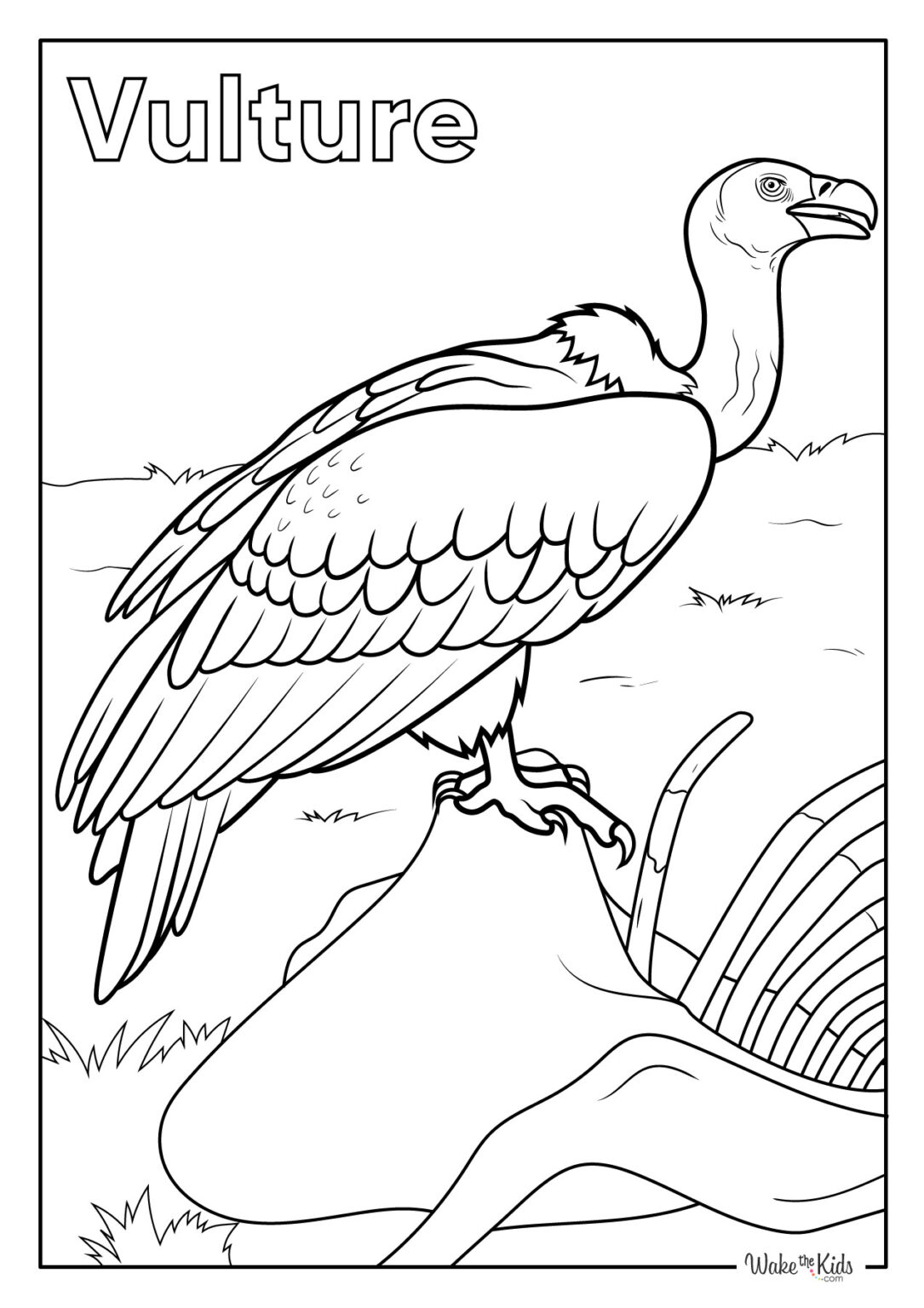 Vulture Coloring Pages (Free Printable PDFs) | WakeTheKids