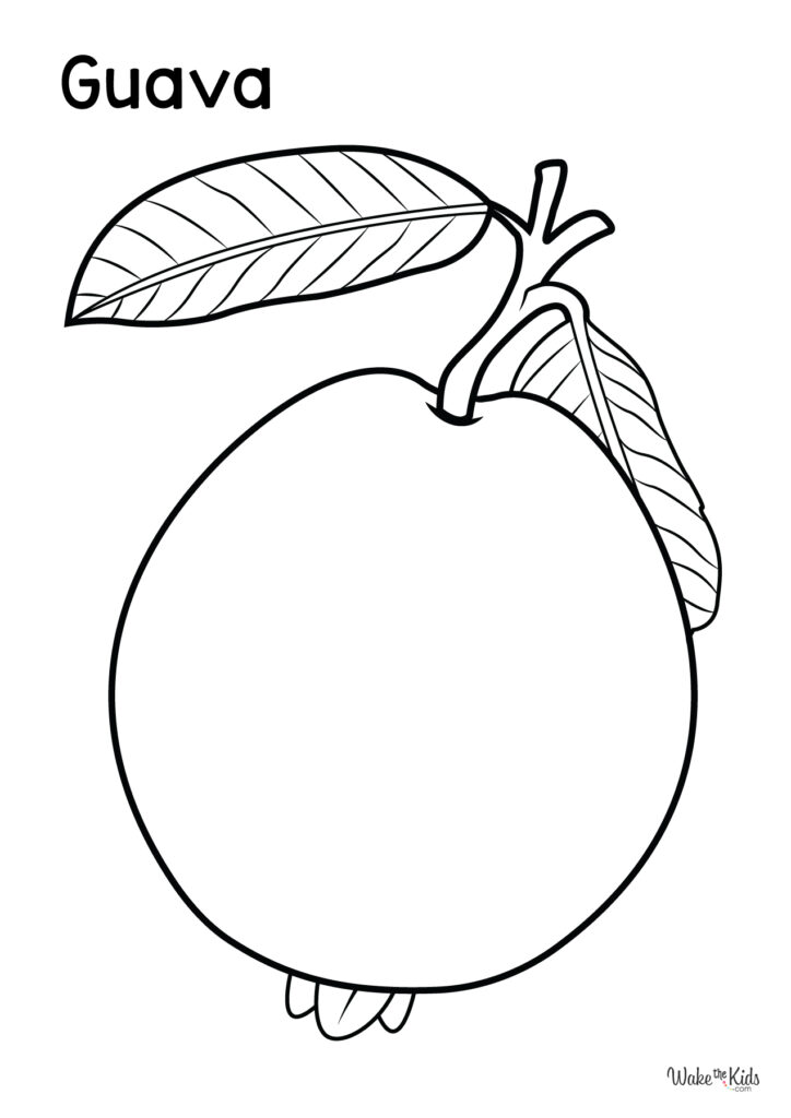 Guava Coloring Pages (Free Printable PDFs) | WakeTheKids