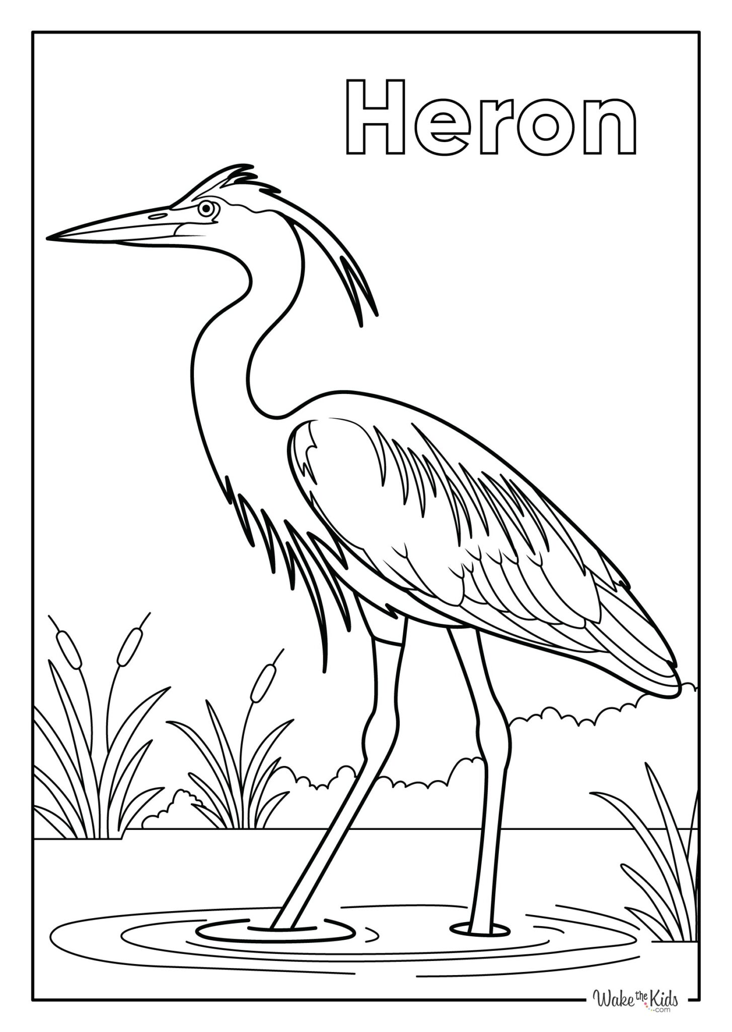 Heron Coloring Pages (Free Printable PDFs) | WakeTheKids
