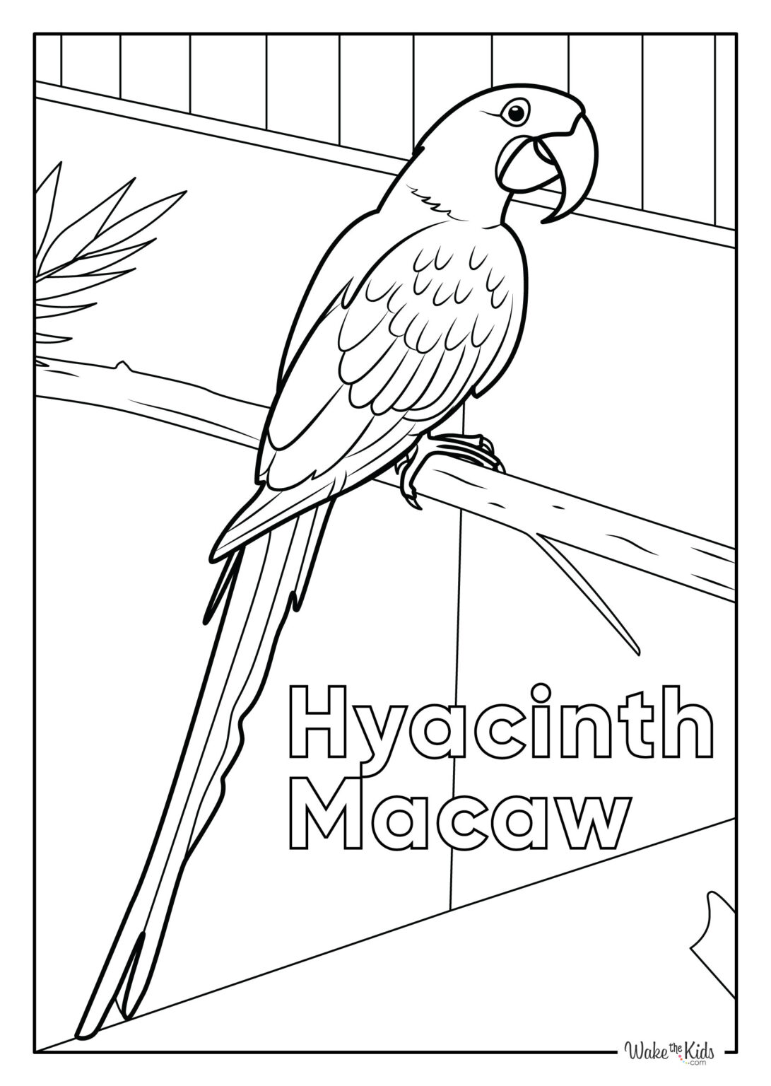 Macaw Coloring Pages (Free Printable PDFs) | WakeTheKids