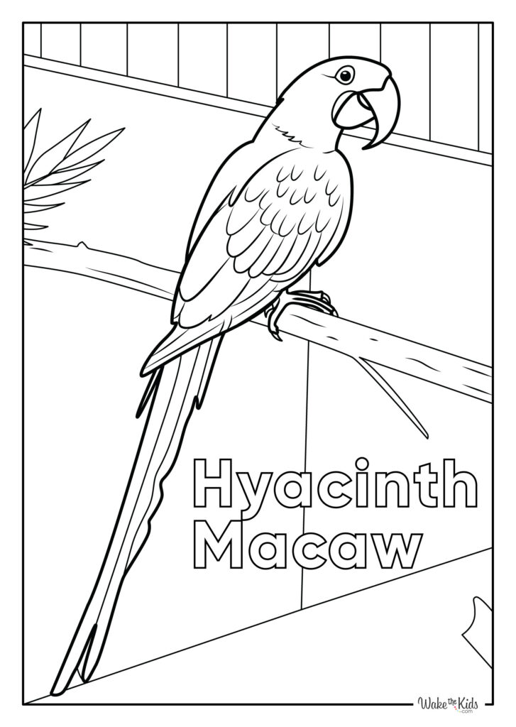 Macaw Coloring Pages (Free Printable PDFs) | WakeTheKids