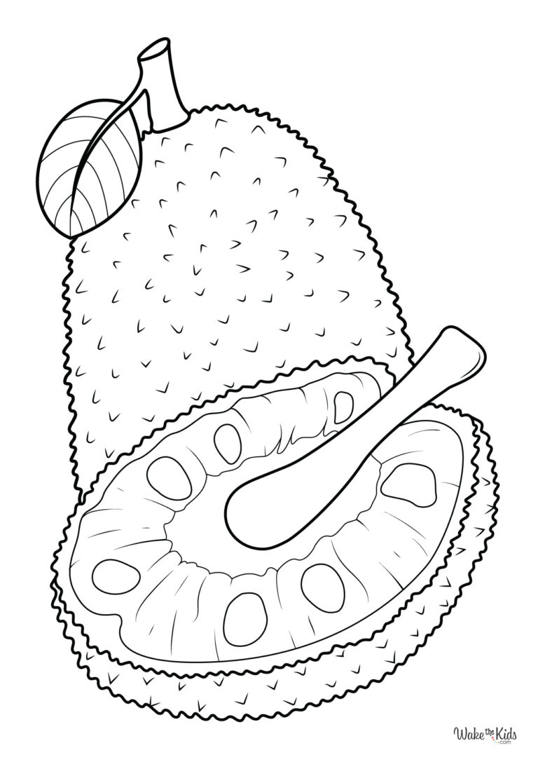 Jackfruit Coloring Pages (Free Printable PDFs) | WakeTheKids