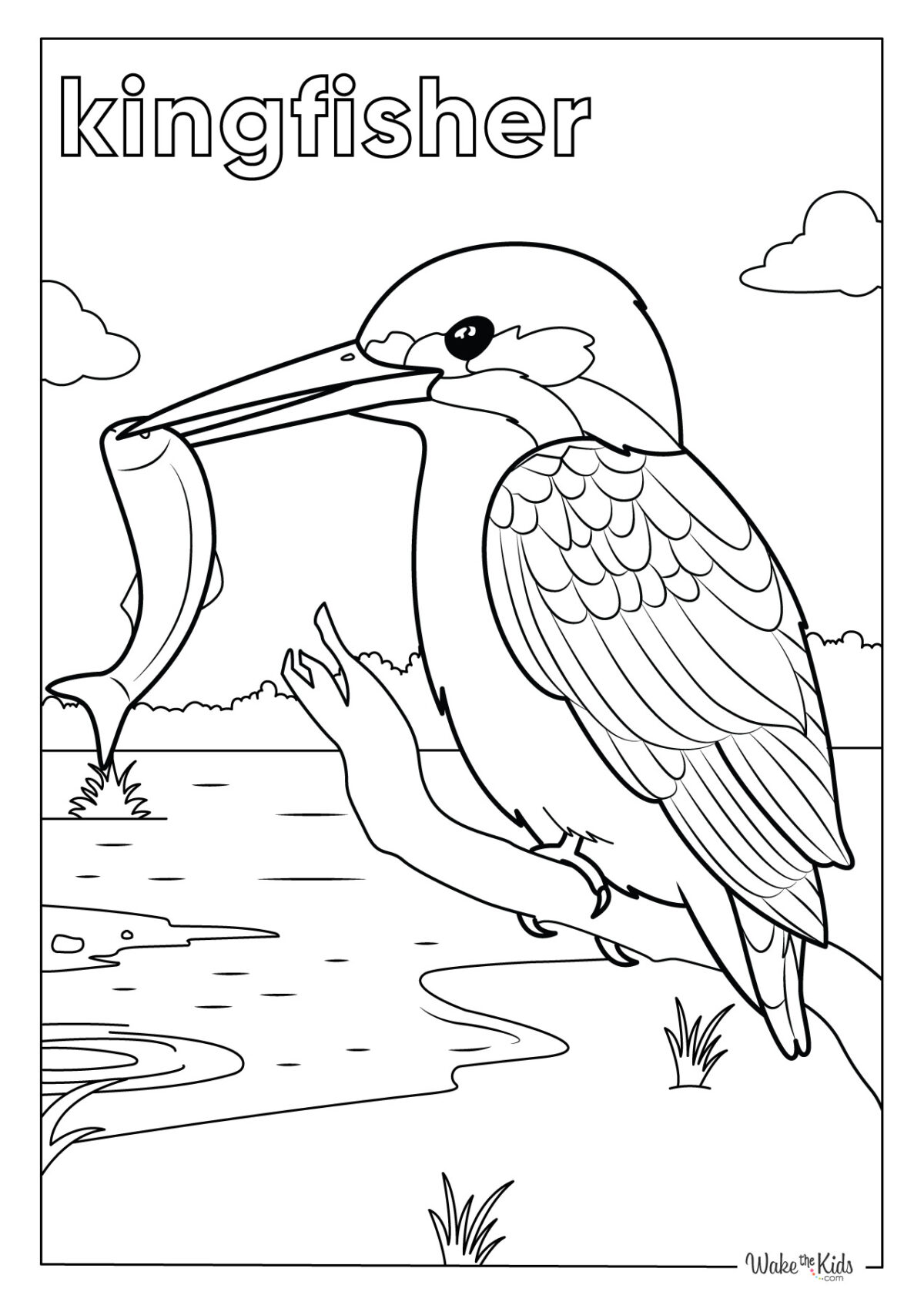 Kingfisher Coloring Pages (Free Printable PDFs) | WakeTheKids