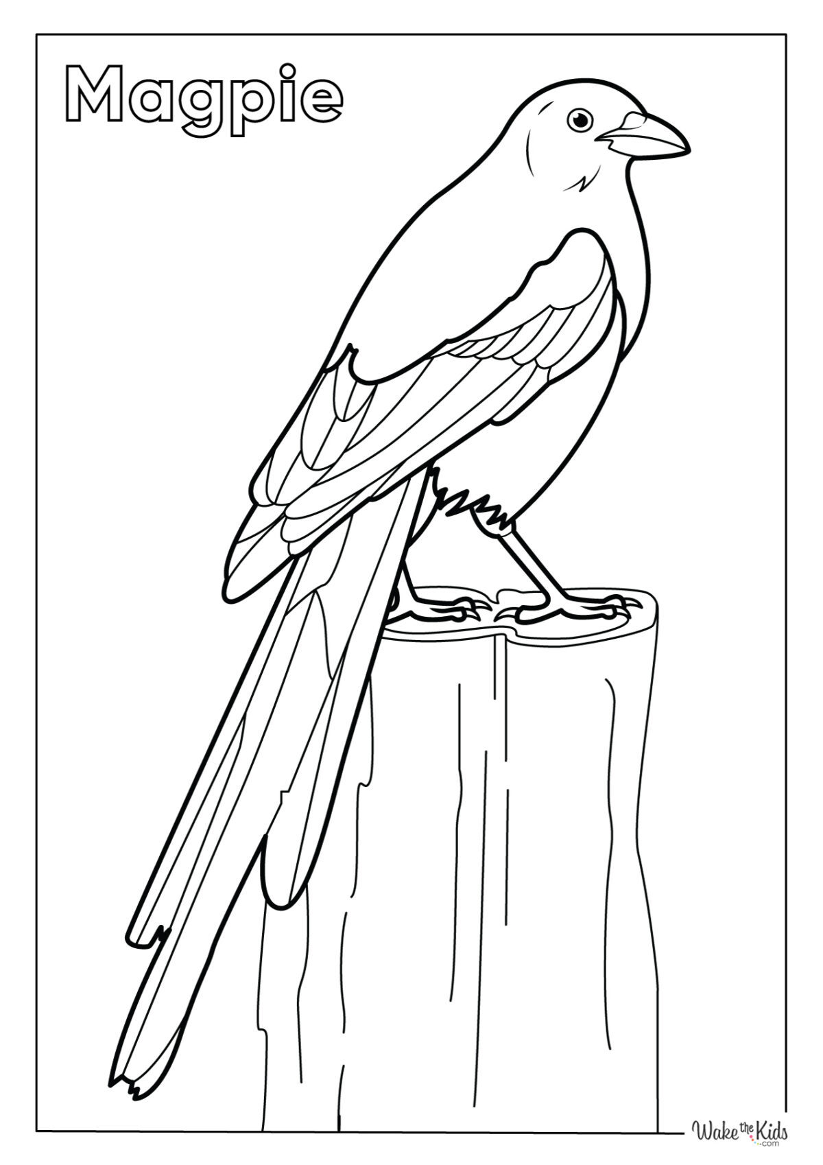Magpie Coloring Pages (Free Printable PDFs) | WakeTheKids