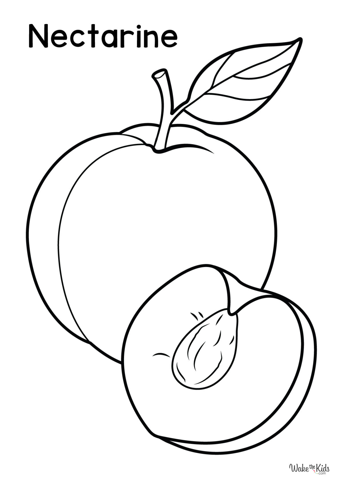 Nectarine Coloring Pages (Free Printable PDFs) | WakeTheKids