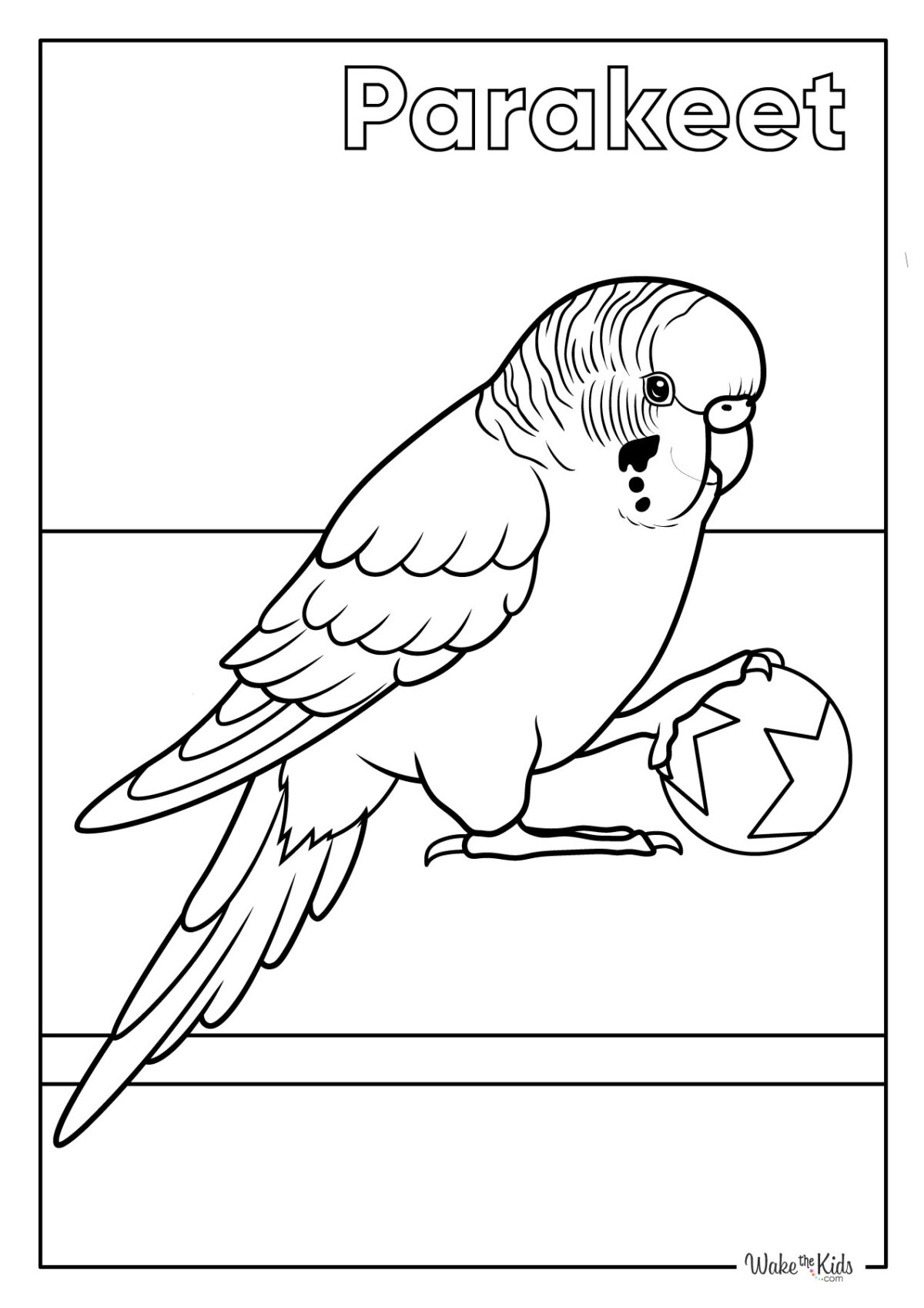 Parakeet Coloring Pages (Free Printable PDFs) | WakeTheKids