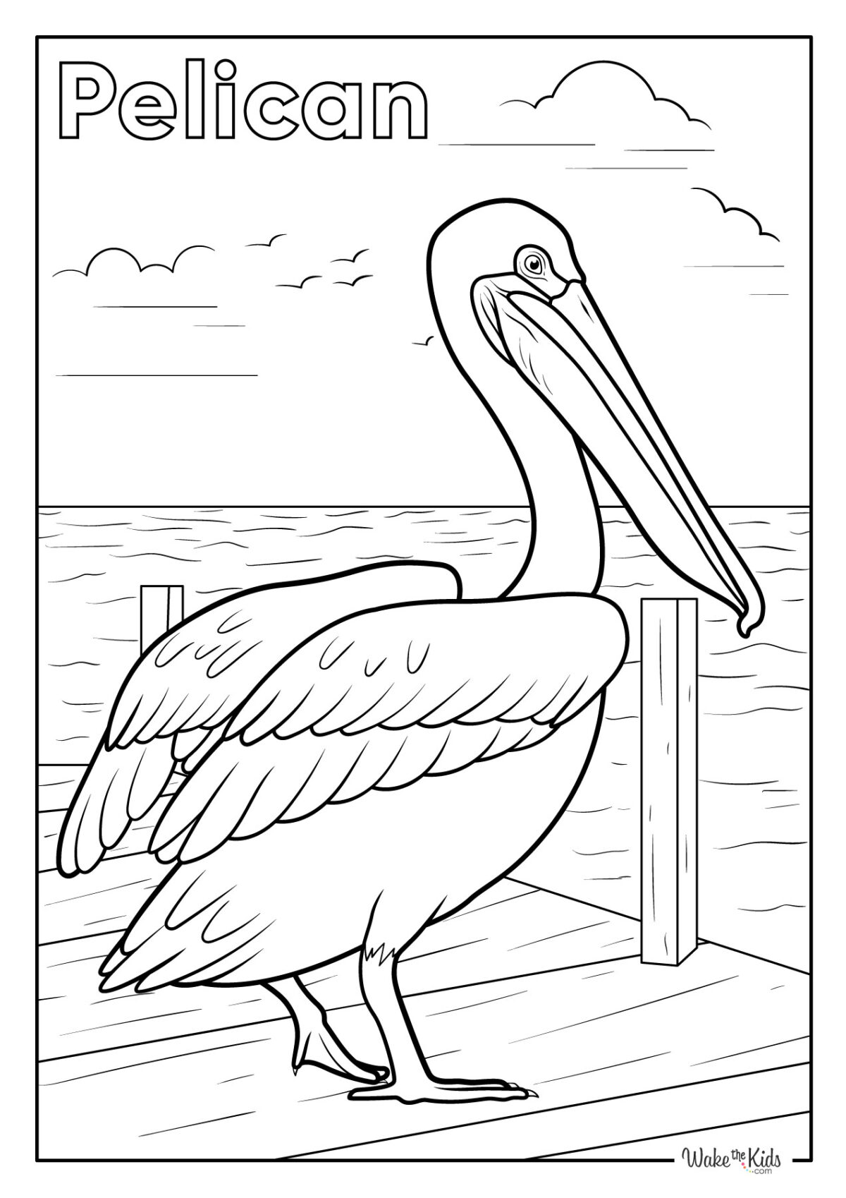 Pelican Coloring Pages (Free Printable PDFs) | WakeTheKids