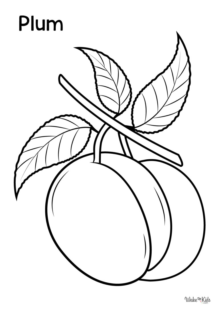 Plum Coloring Pages (Free Printable PDFs) | WakeTheKids