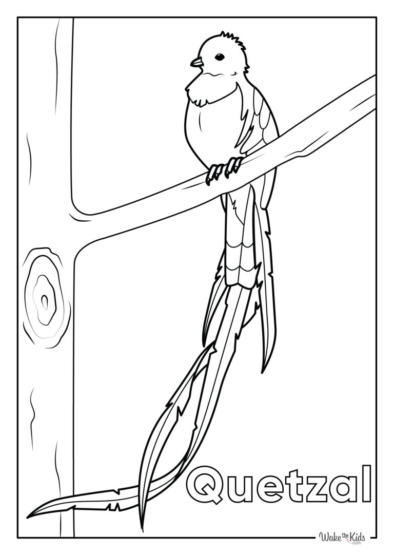 Quetzal Coloring Pages (Free Printable PDFs) | WakeTheKids