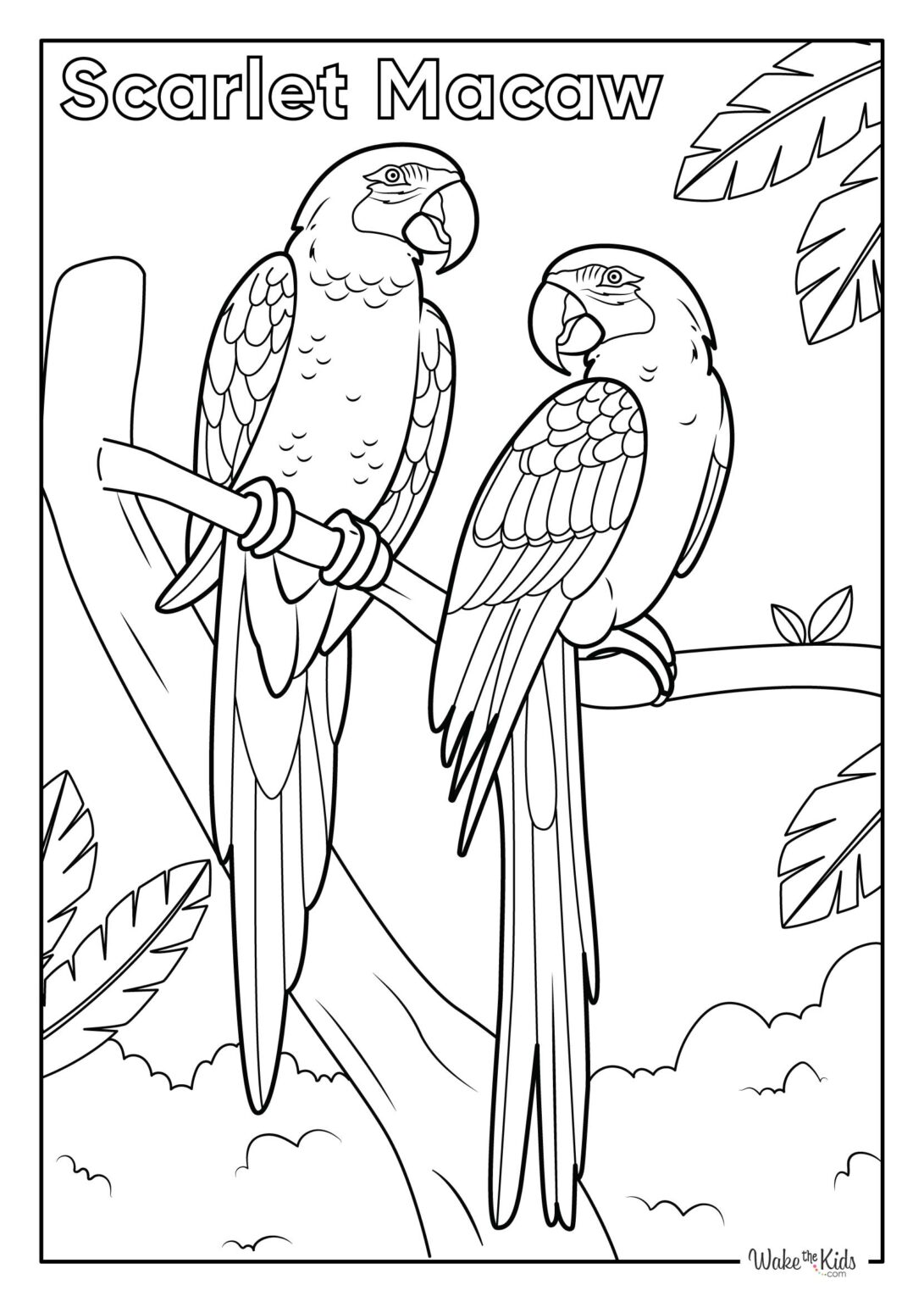 Macaw Coloring Pages (Free Printable PDFs) | WakeTheKids