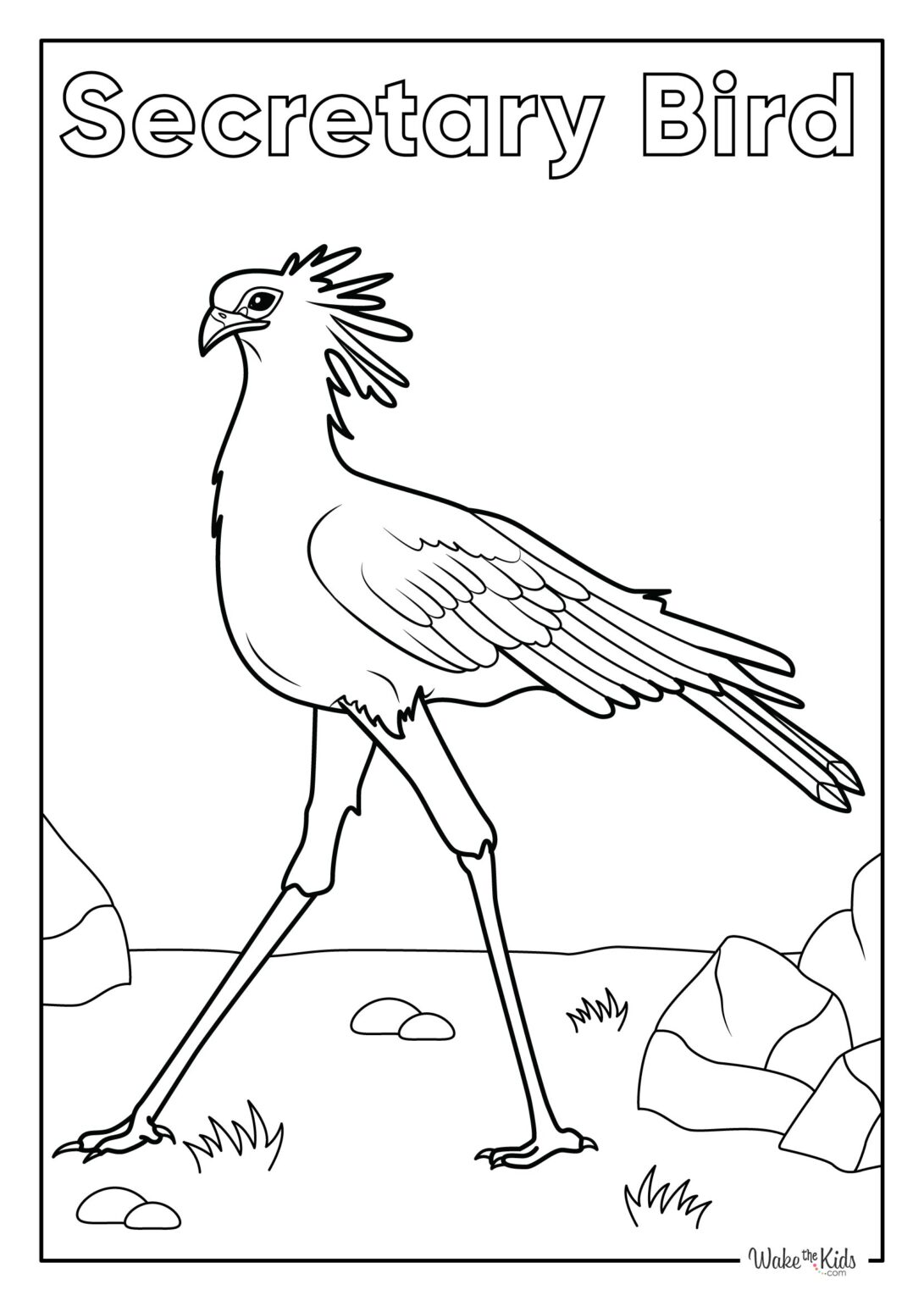 Secretarybird Coloring Pages (Free Printable PDFs) | WakeTheKids