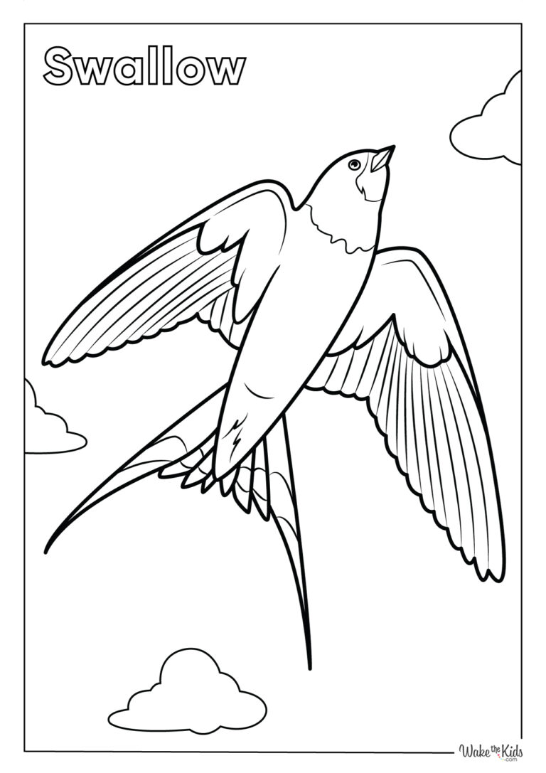 Swallow Coloring Pages (Free Printable PDFs) | WakeTheKids