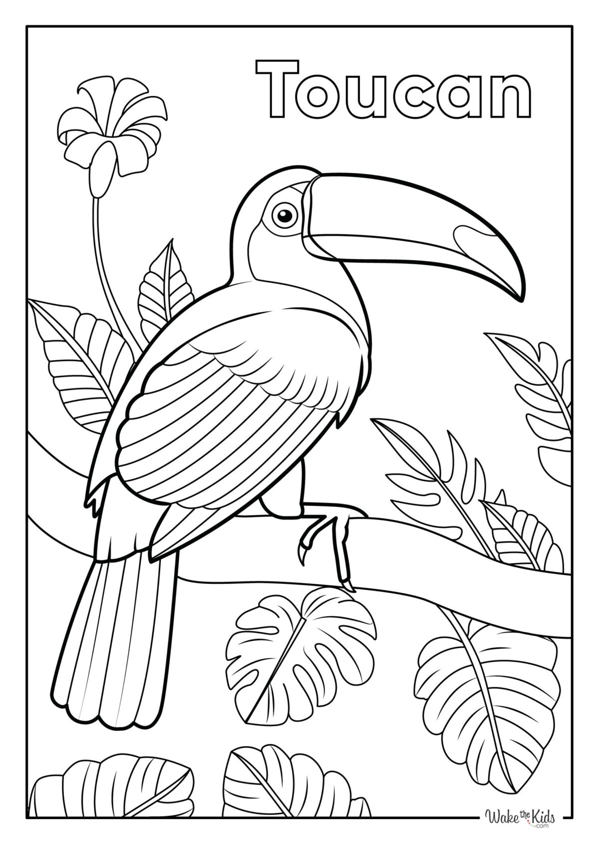 Toucan Coloring Pages (Free Printable PDFs) | WakeTheKids