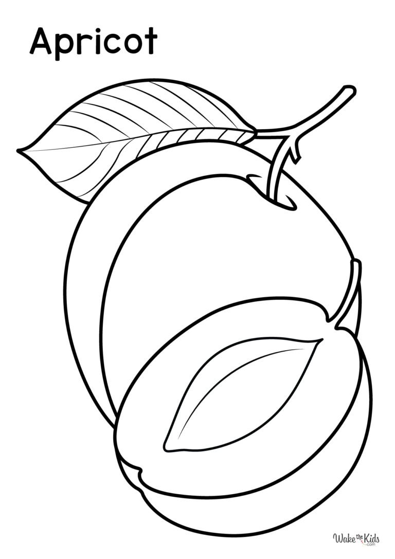 Apricot Coloring Pages (Free Printable PDFs) | WakeTheKids