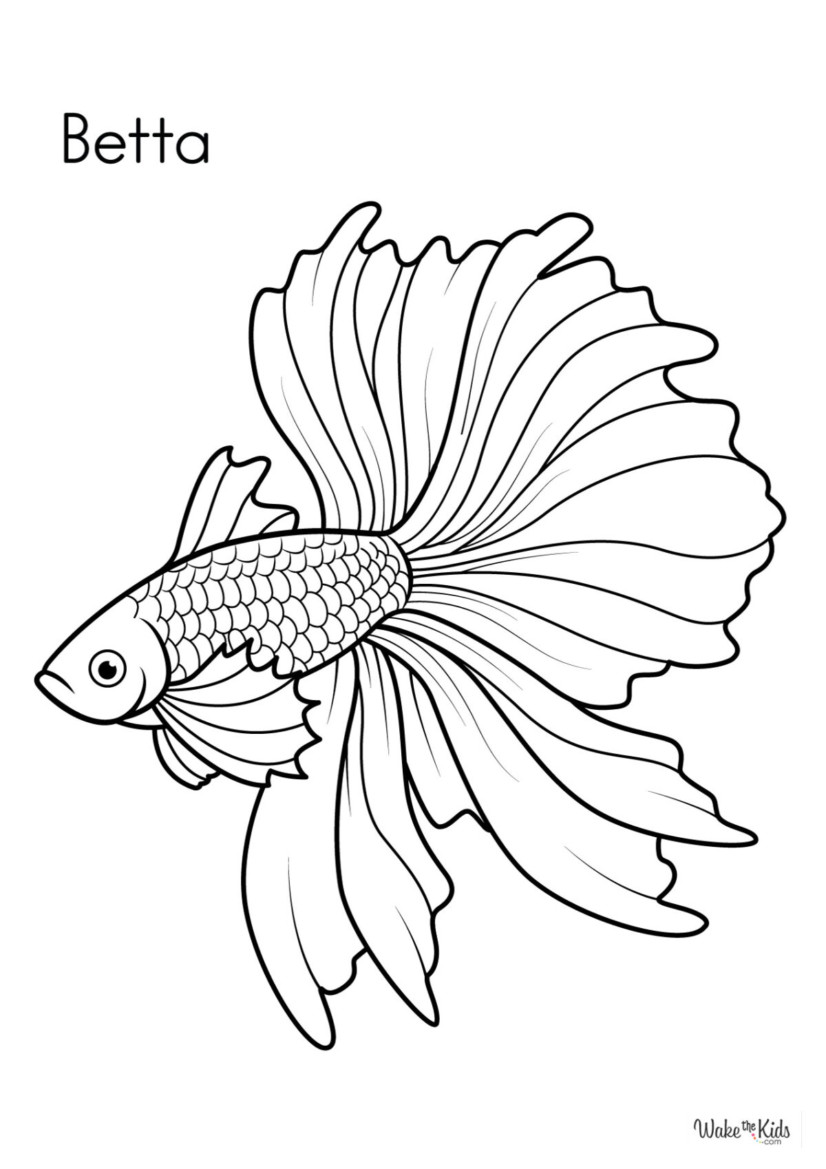 Betta Coloring Pages (Free Printable PDFs) | WakeTheKids
