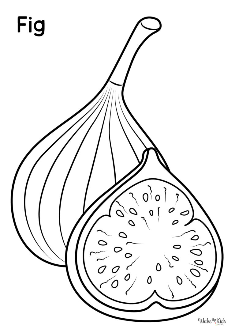 Fig (Fruit) Coloring Pages (Free Printable PDFs) | WakeTheKids